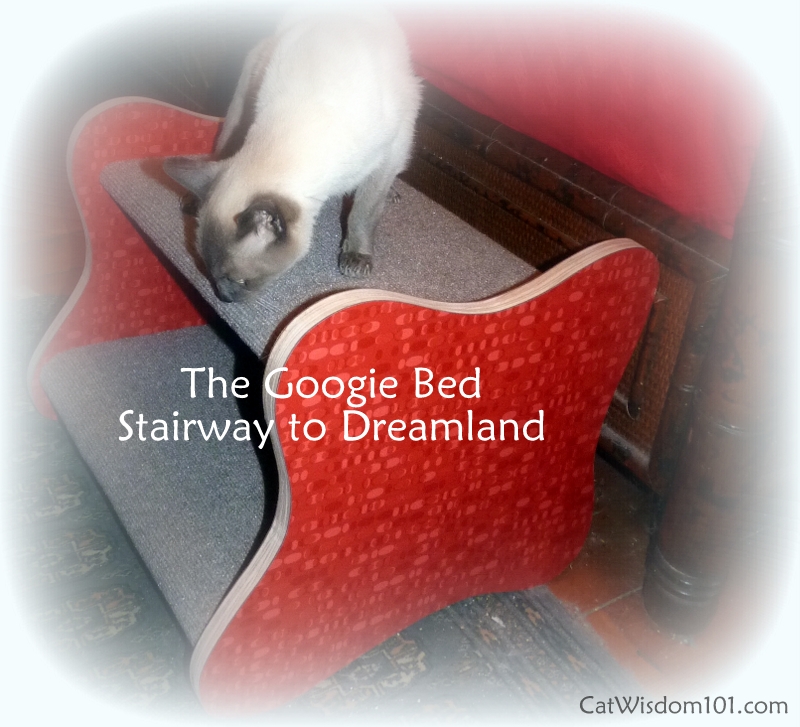 Big Birthday Giveaway: $250 Googie Cat Bed | Cat Wisdom 101