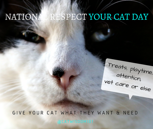 March Cat News, Holidays & More | Cat Wisdom 101