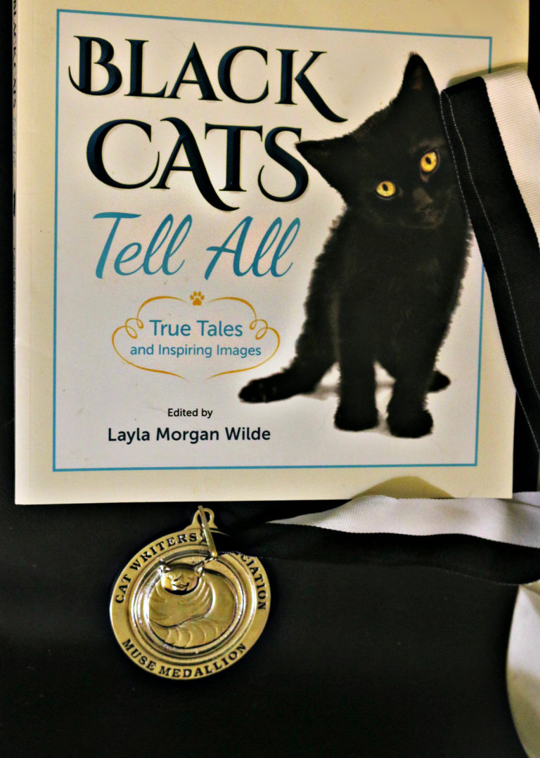 Foreign Cat Book History and Design | Cat Wisdom 101