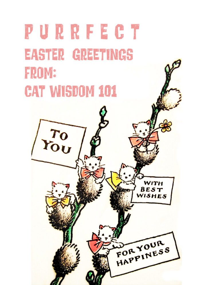 Passover/Easter Peace, Love Cats For Ukraine | Cat Wisdom 101