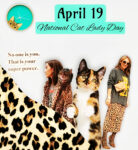 Death of a Kitten Lady & National Cat Lady Day News | Cat Wisdom 101