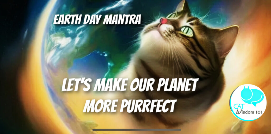 Eco-friendly Earth Day Magic For Cat Lovers | Cat Wisdom 101