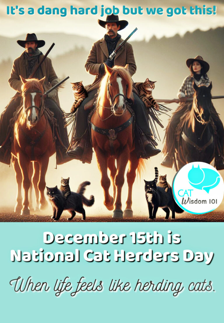 How To Celebrate National Cat Herders Day | Cat Wisdom 101